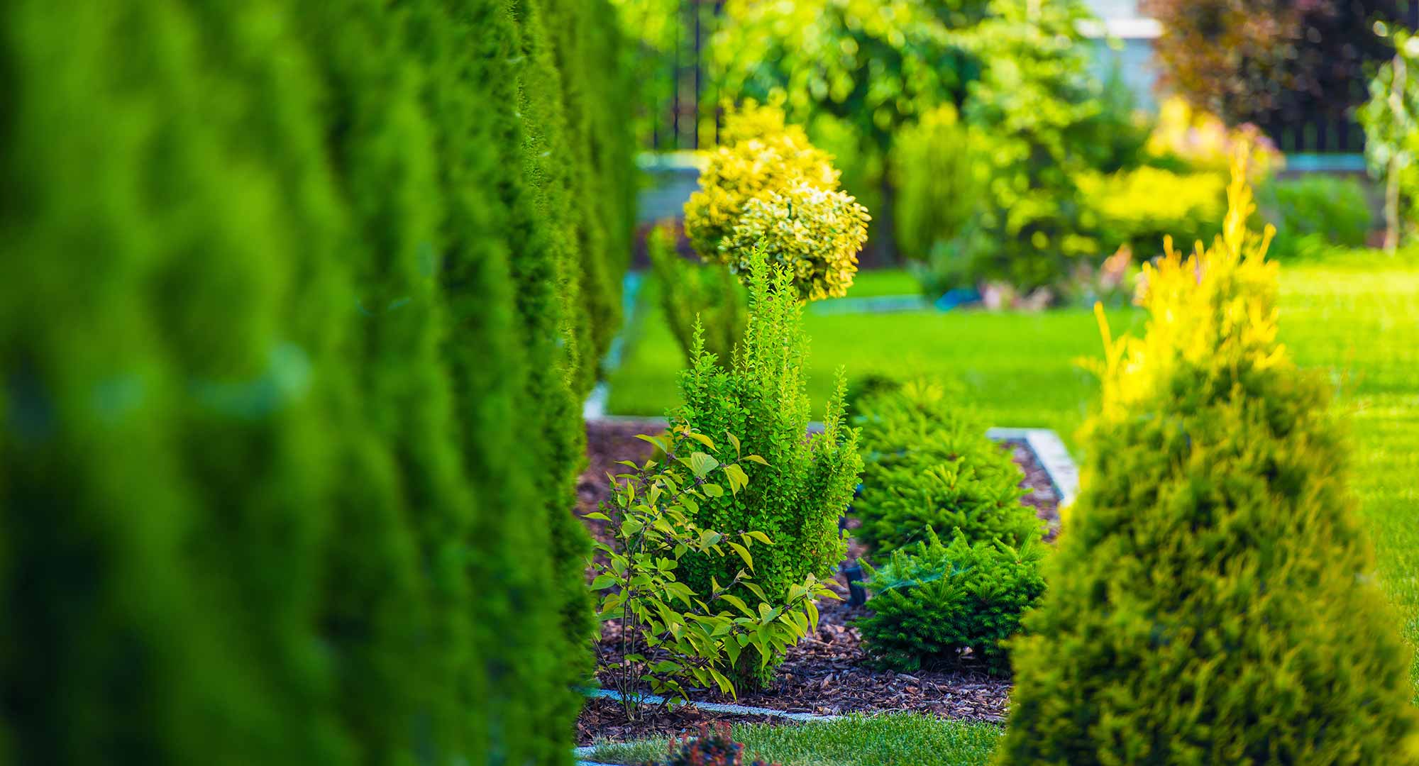 Sarge s Lawn Mowing Garden Maintenance Landscaping Gold Coast
